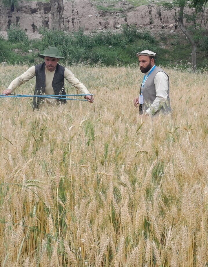 Crop Cutting Experiment (CCE) Project - Adroit Associates